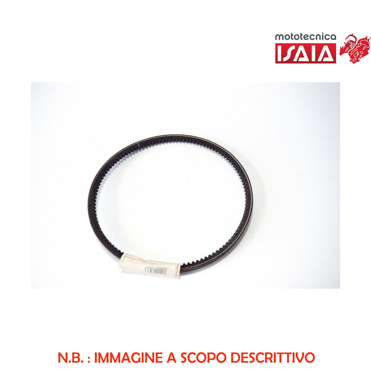 Cinghia alternatore pompa acqua Piaggio Quargo - Mototecnica Isaia