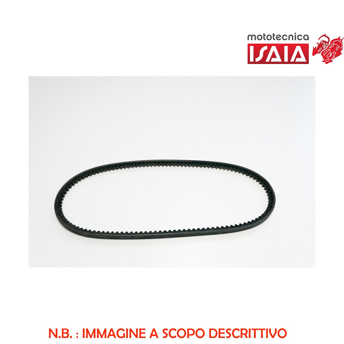 Cinghia alternatore Piaggio Porter - Mototecnica Isaia